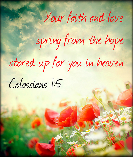 Fruit of the Spirit: “Holy Seed Containers” – Ladies Who Love Christ