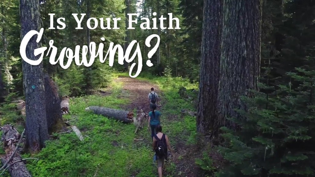 How to Grow Your Faith: 5 Steps to Start Living a Faith Filled Life ...